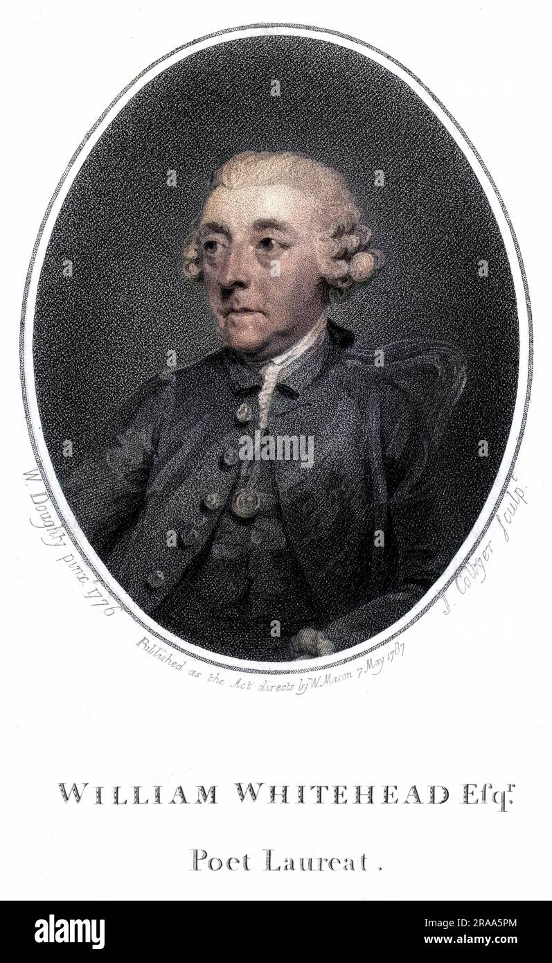 Whitehead Cut Out Stock Images & Pictures - Alamy