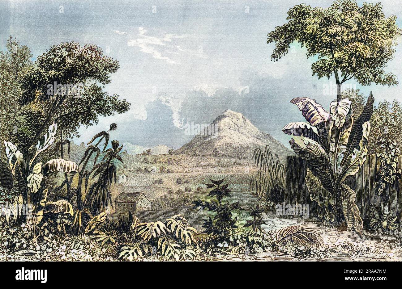 Scene on Charles Island (aka Santa Maria) one of the Galapagos islands ...