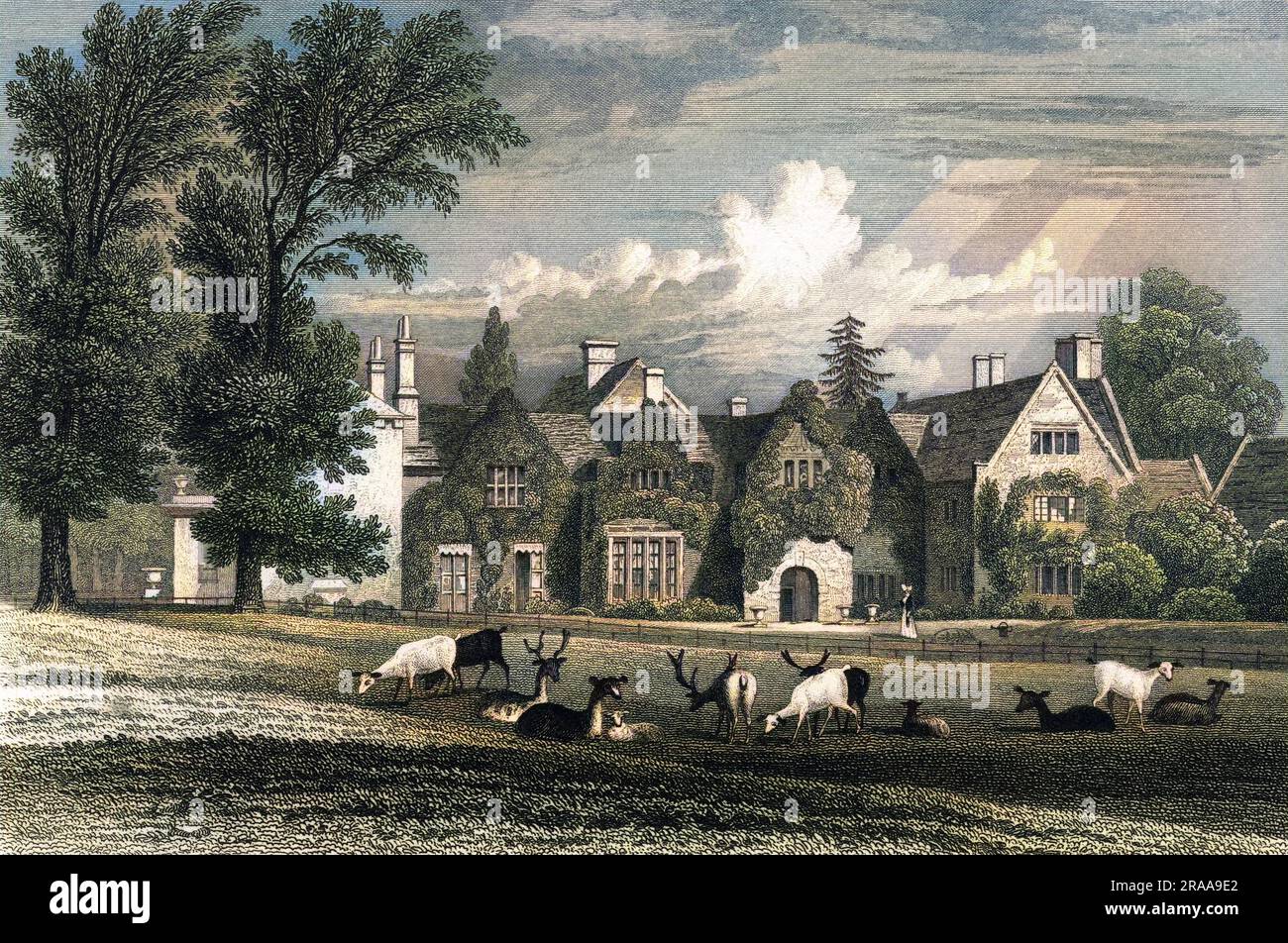 Deer on the grass at Farming Woods, Northamptonshire. Date: circa 1830 ...