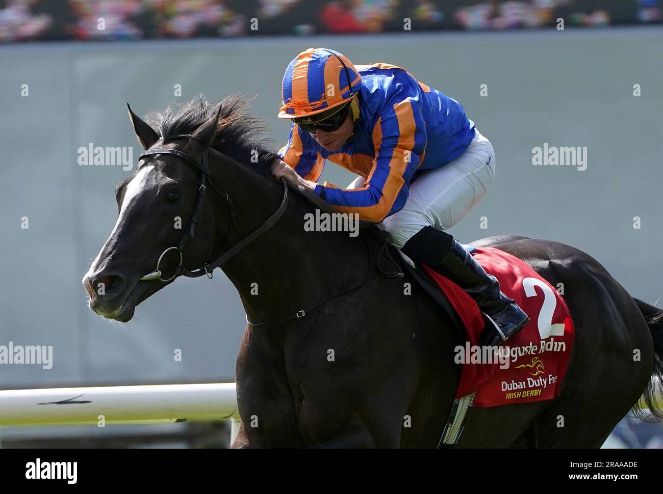 Auguste rodin horse hi-res stock photography and images - Alamy