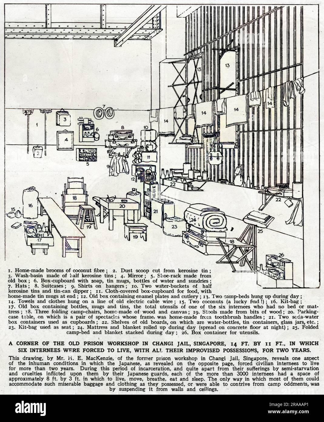 Illustration showing the cramped interior of a Japanese internment camp ...
