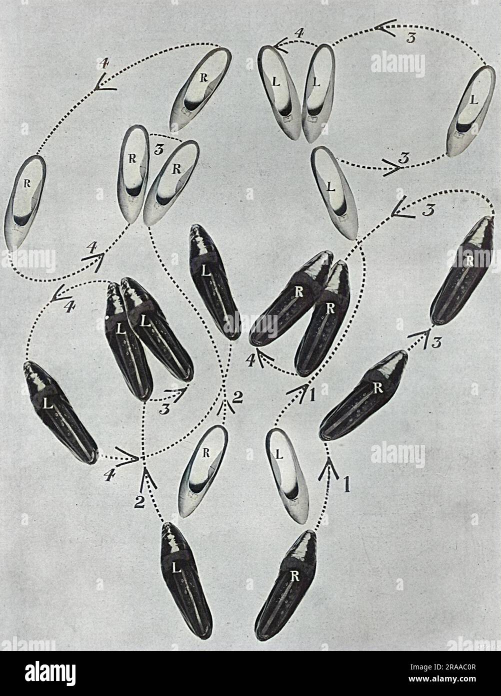 Tango diagram hi-res stock photography and images - Alamy