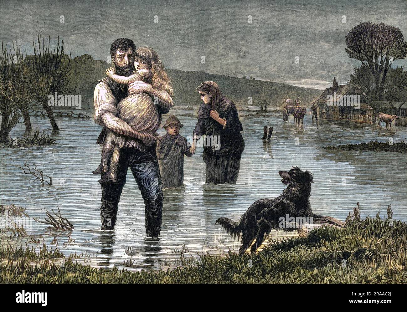A family with two children and their dog wade through flood water in a ...