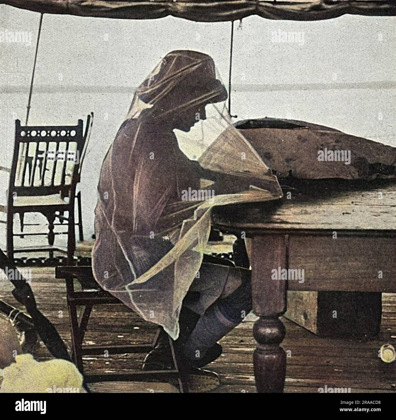 A British officer serving in Mesopotamia finds a solution to the fly ...