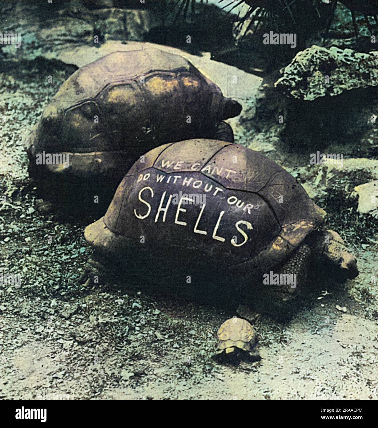 Zoo advertising hi-res stock photography and images - Alamy