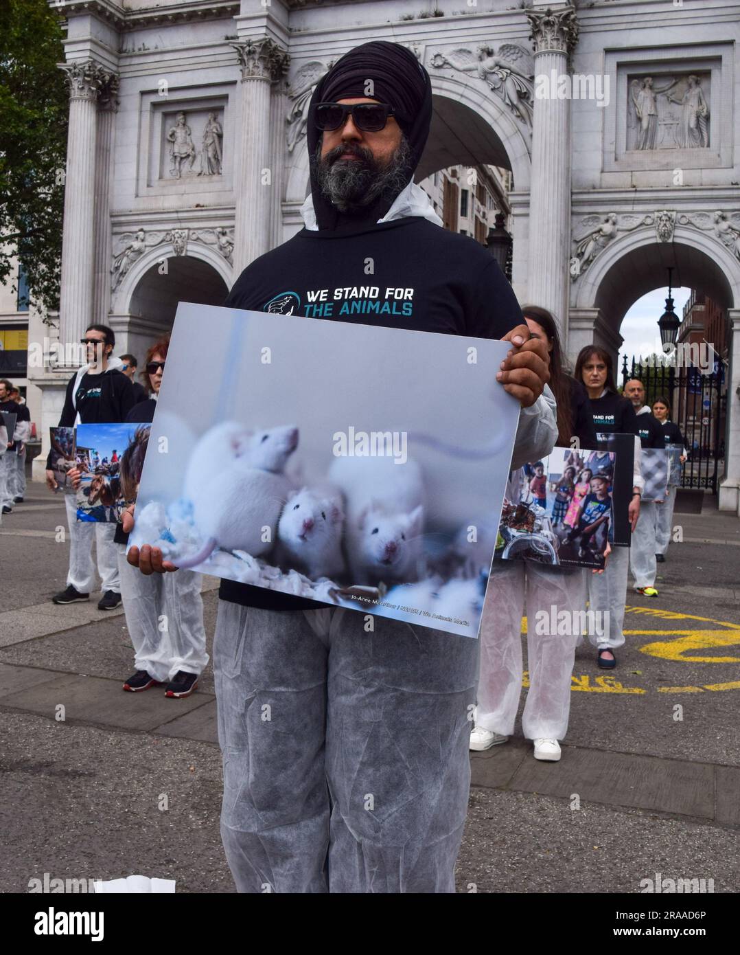 Real mice hi-res stock photography and images - Alamy