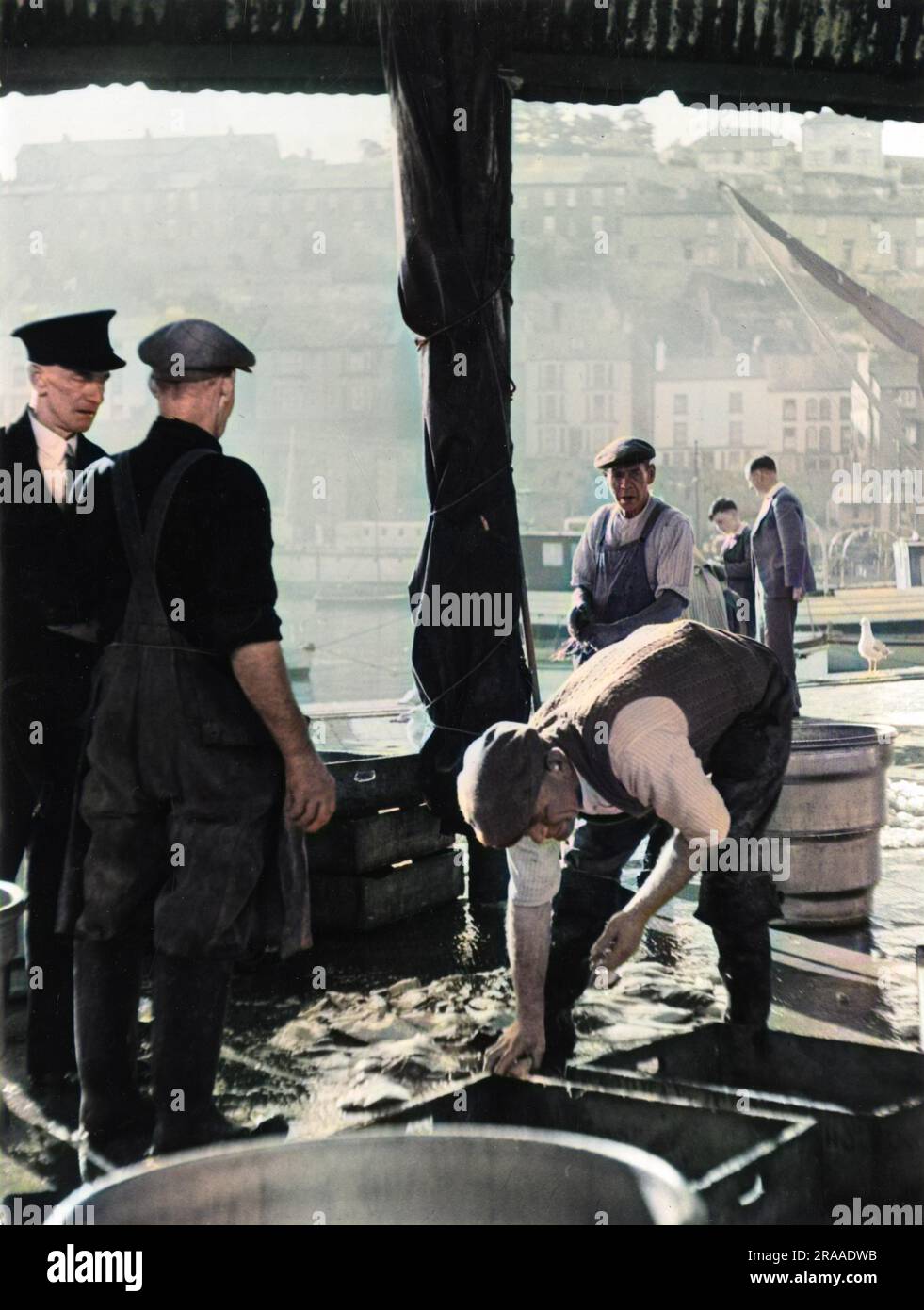 1950s fishing industry hi-res stock photography and images - Alamy