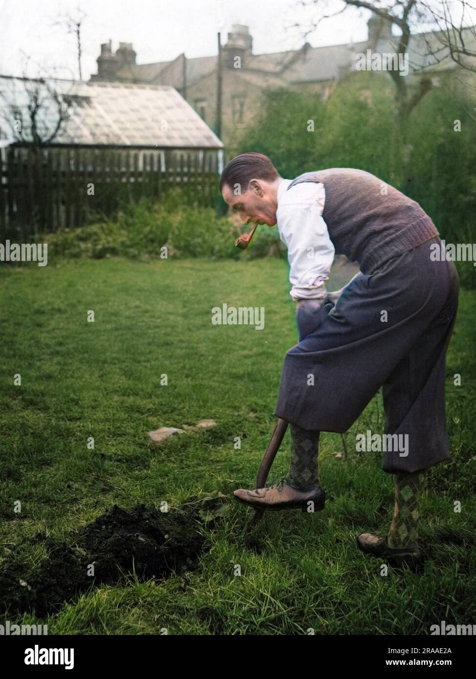 Digging for Victory in England during World War Two - or in this case ...