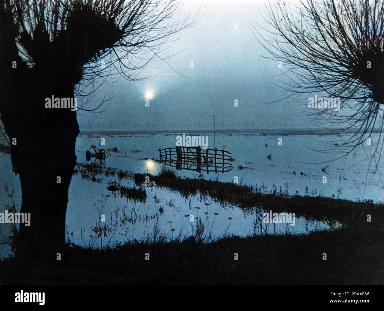 The Broads overflow their banks - the flooded fields near Beccles, on ...