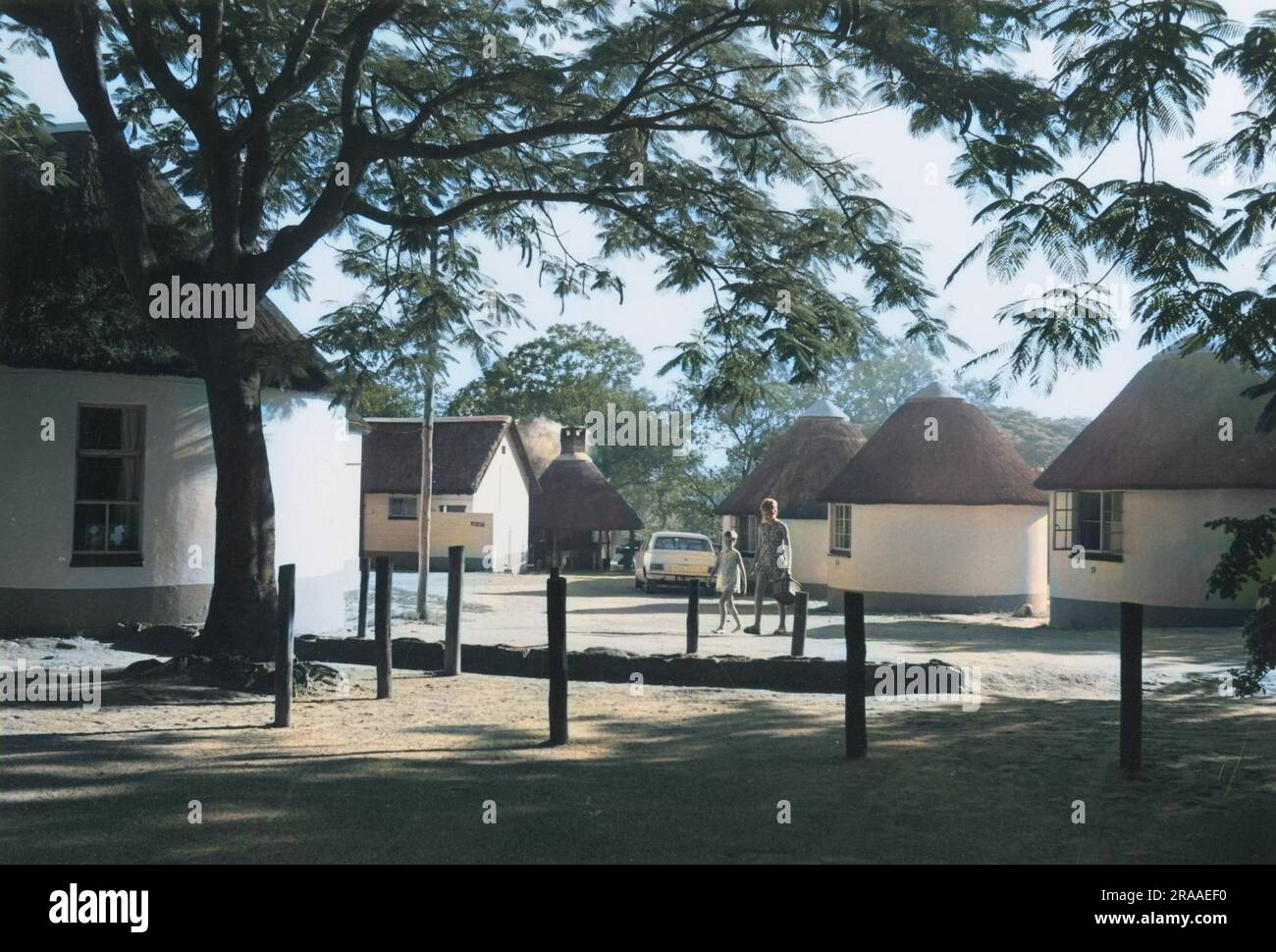 Dw stadium rugby hi-res stock photography and images - Alamy