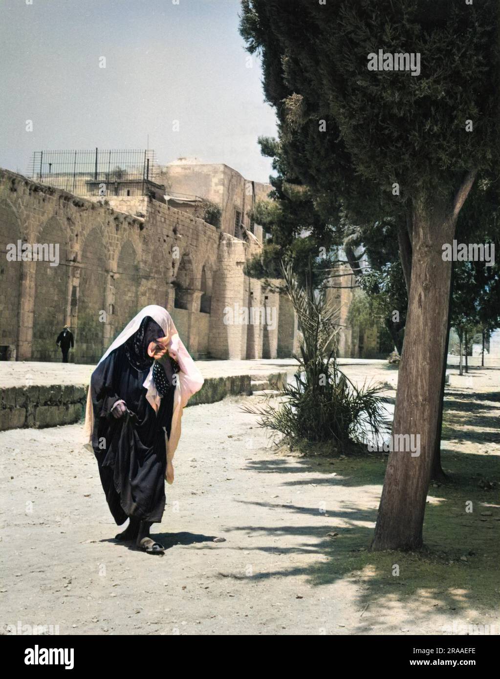 Rugby League - Widnes Vikings v Salford Red Devils - First Utility ...