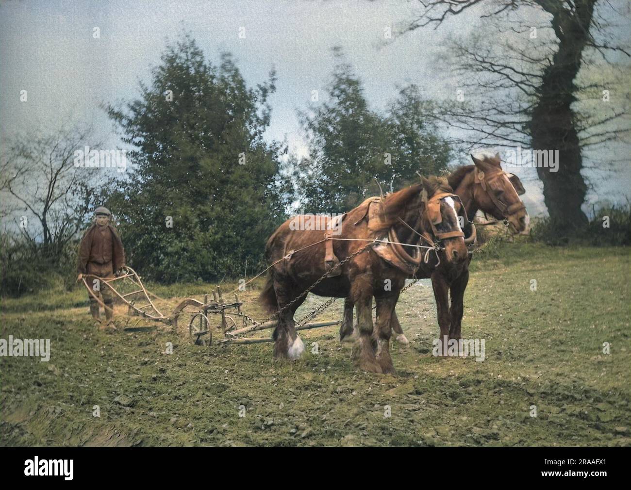 Man ploughing with horse hi-res stock photography and images - Alamy