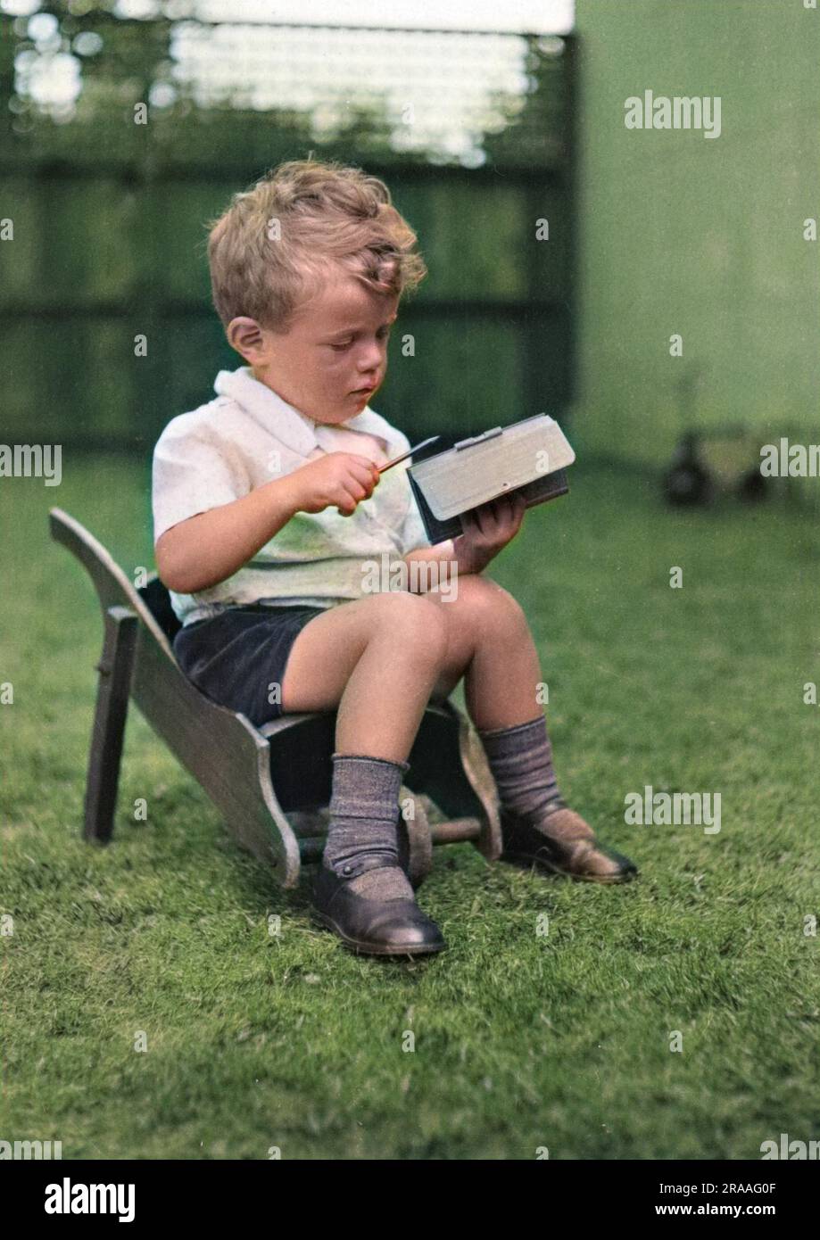 A little boy sitting in a wheelbarrow on a lawn. He is examining a ...