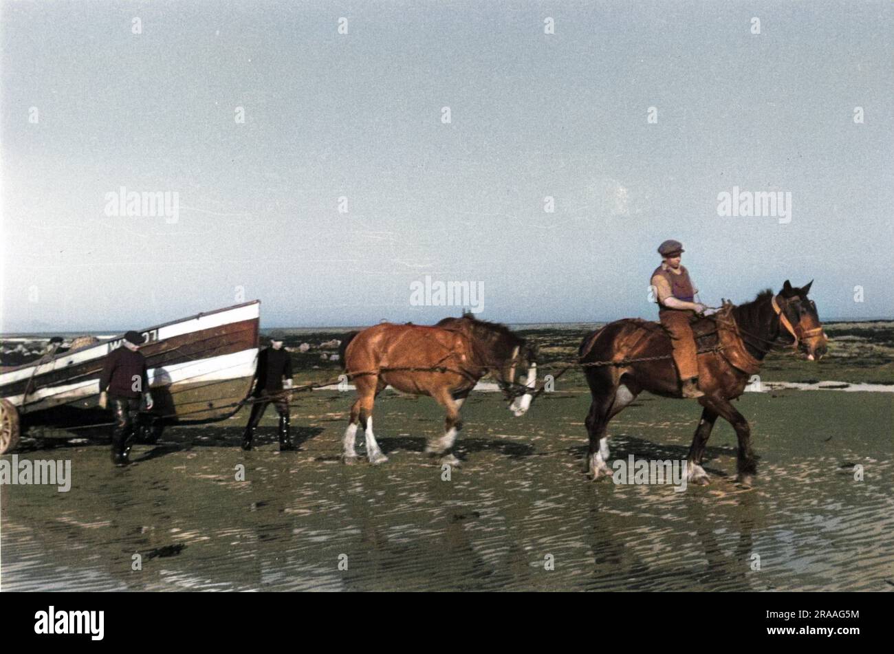 Three fishermen pulling a boat hi-res stock photography and images - Alamy