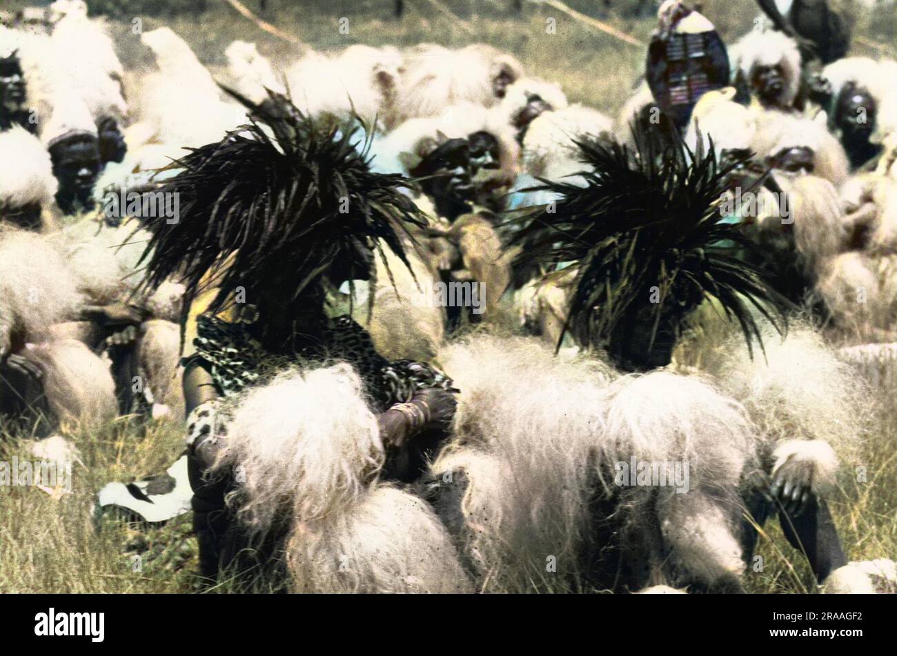 A seated group of spectacularly dressed Zulus. Date: 1936 Stock Photo ...