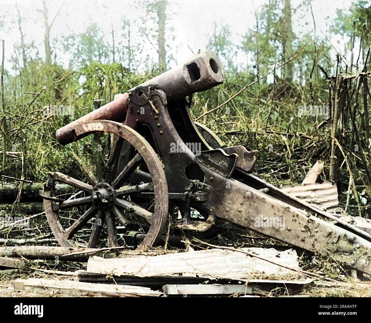 A German gun captured in Mametz Wood, on the Western Front in France ...