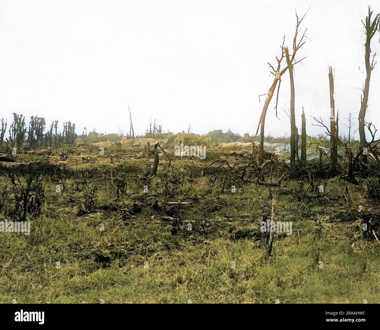 World War One Date: circa 1916 Stock Photo - Alamy