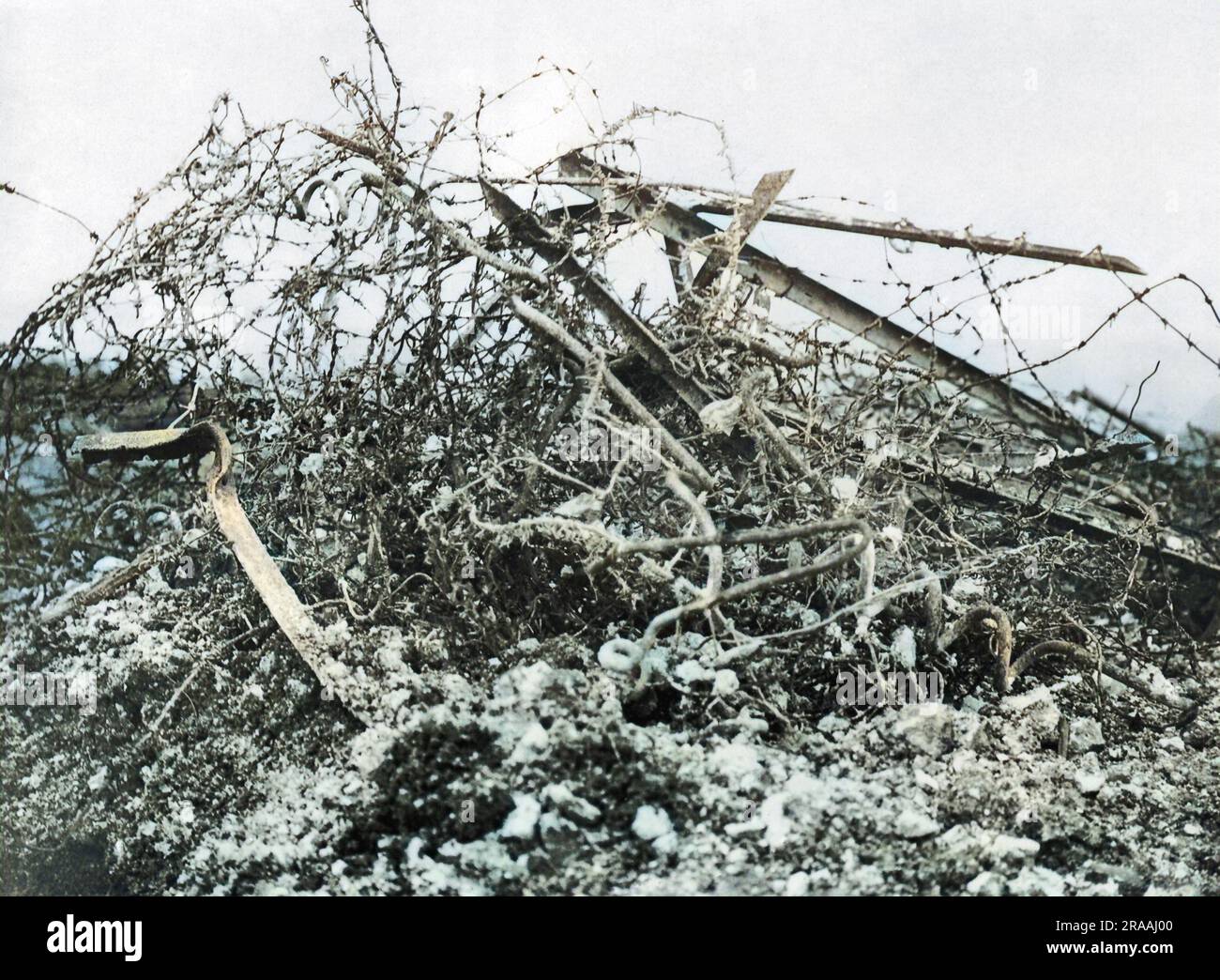 German barbed wire at Beaucourt sur Ancre on the Western Front in ...
