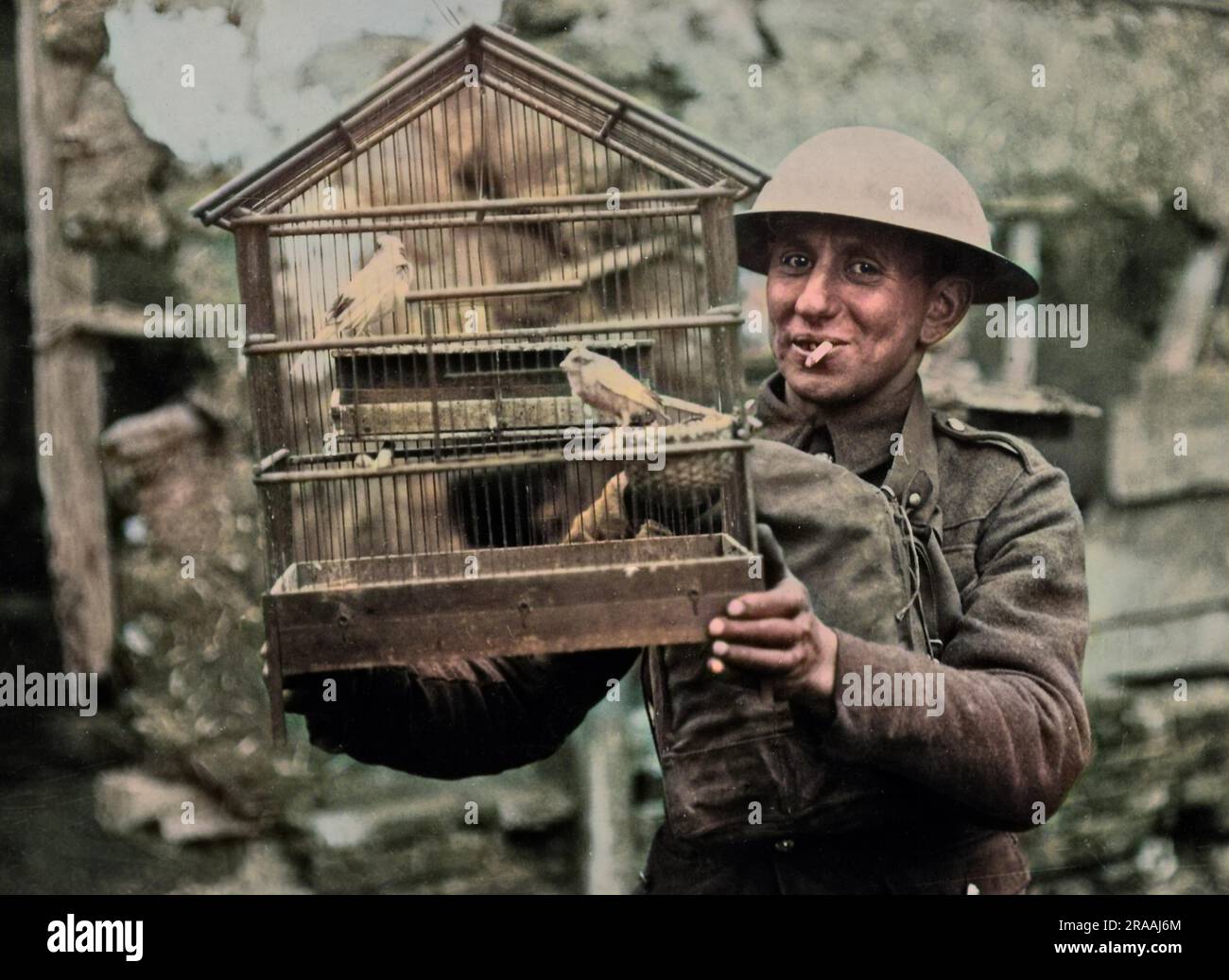 World war one living history hi-res stock photography and images - Alamy