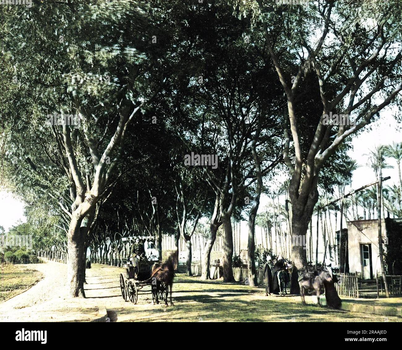 Street view, Cairo, Egypt. Date: circa 1870 Stock Photo - Alamy