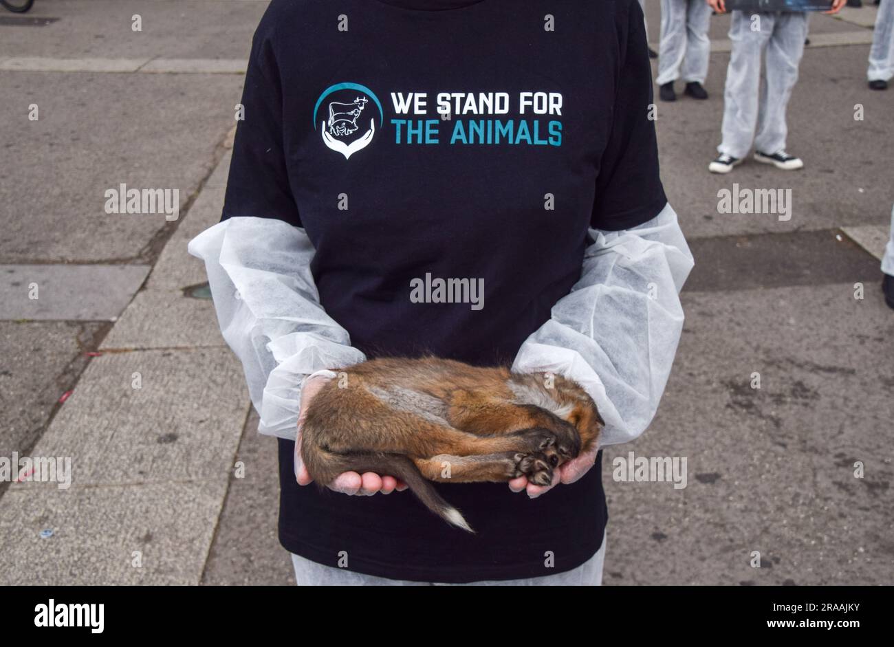 London, UK. 2nd July 2023. Animal rights activists from the group We ...