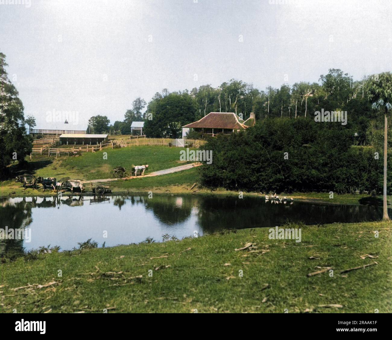 1890s farming farm hi-res stock photography and images - Alamy