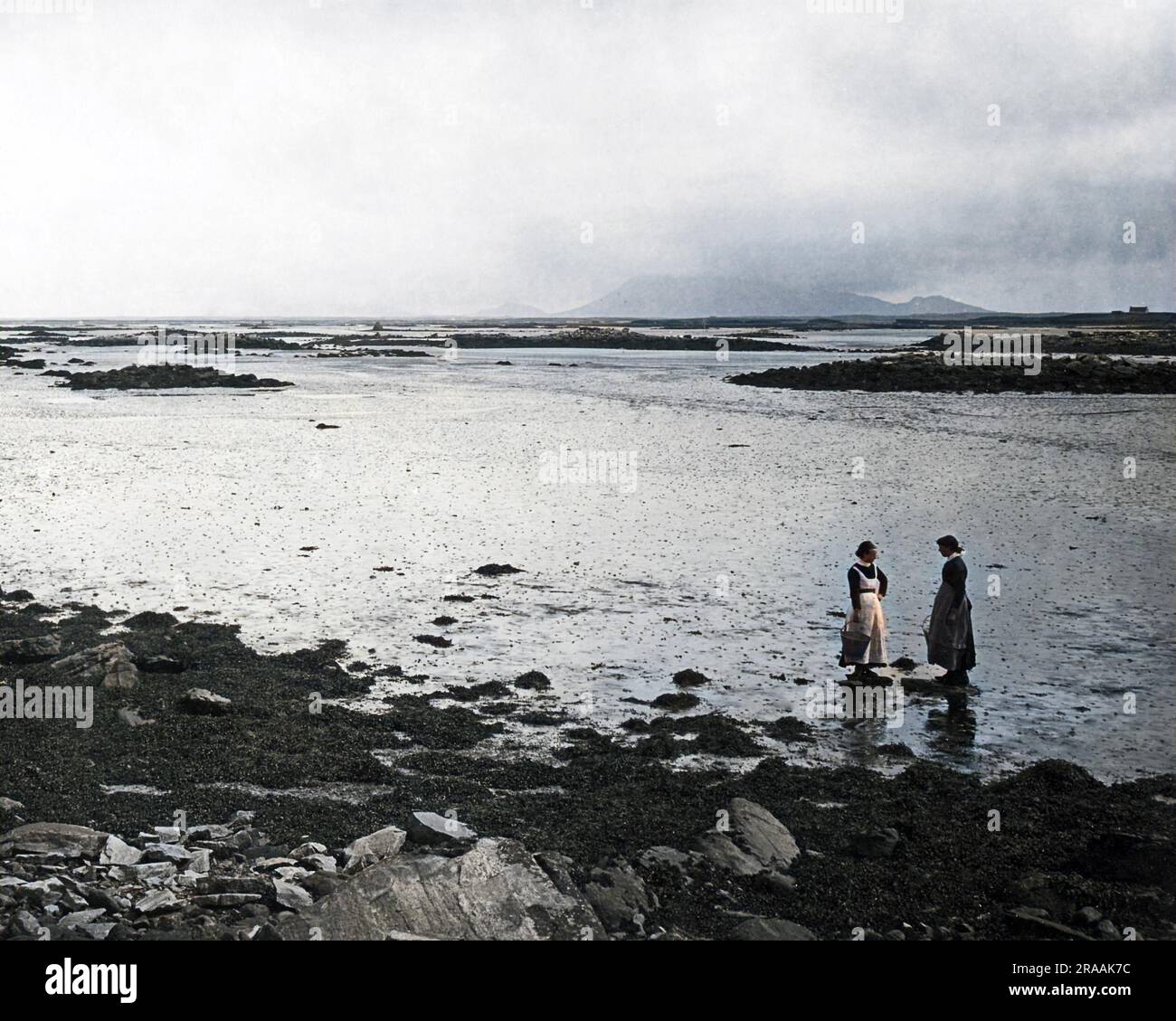 Women gathering cockles on the island of Benbecula, Outer Hebrides ...