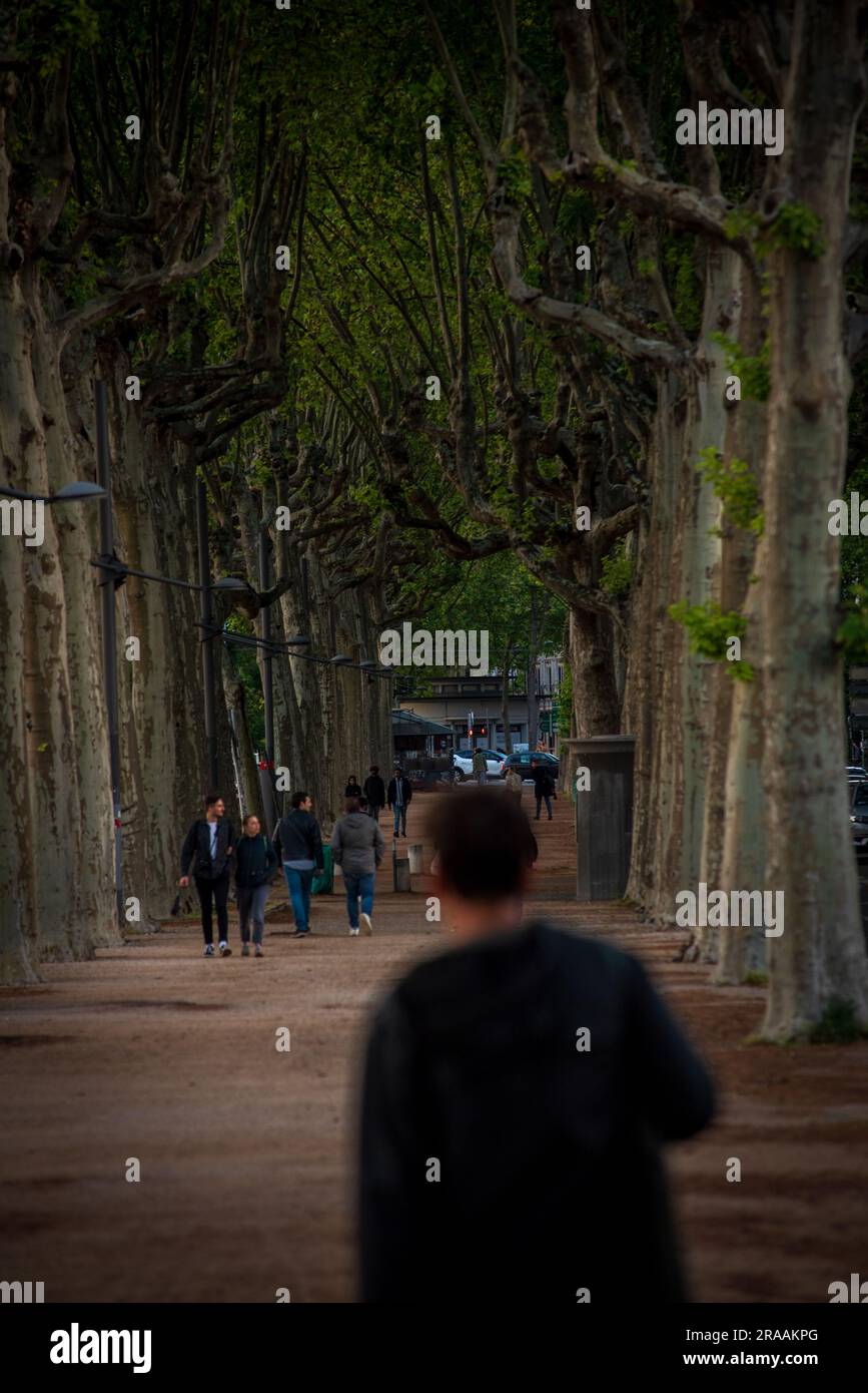 View of park in Lyon Stock Photo - Alamy