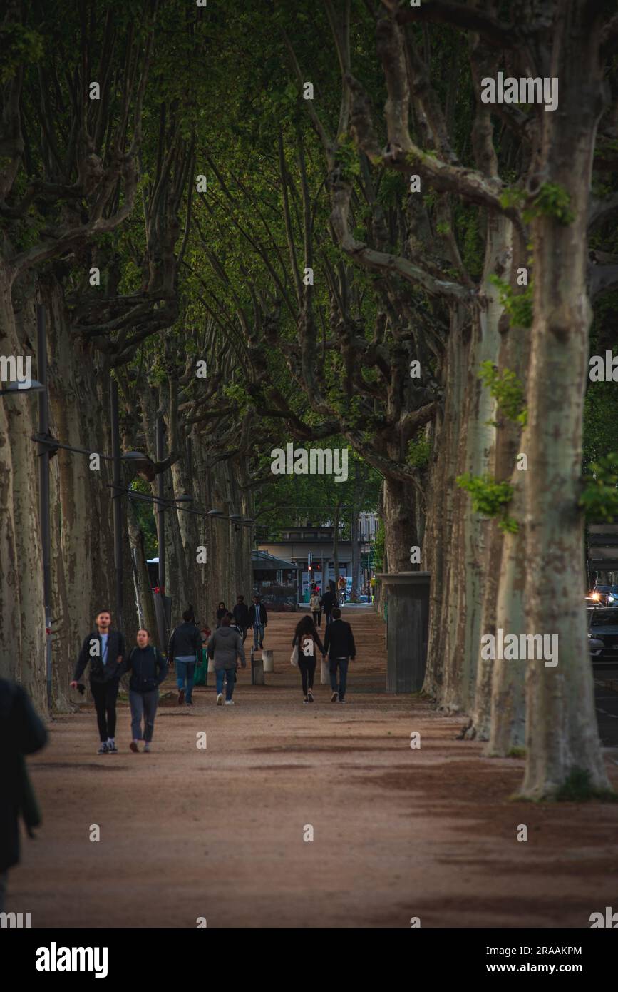When in lyon hi-res stock photography and images - Alamy