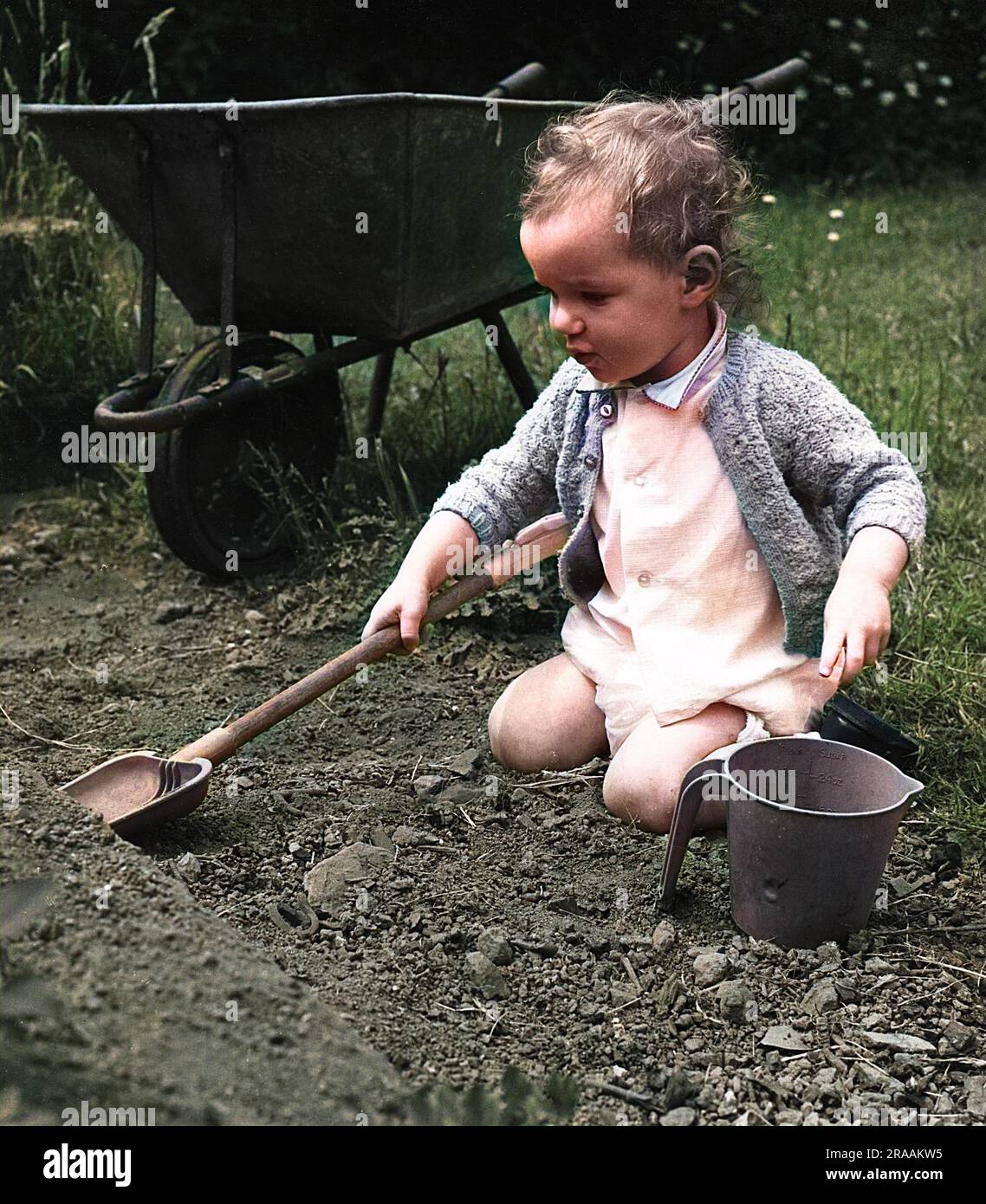 Toddler playing in the garden with a plastic spade. Date: circa 1970s ...