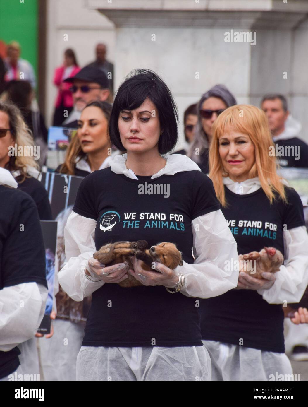 London, UK. 2nd July 2023. Animal rights activists from the group We ...