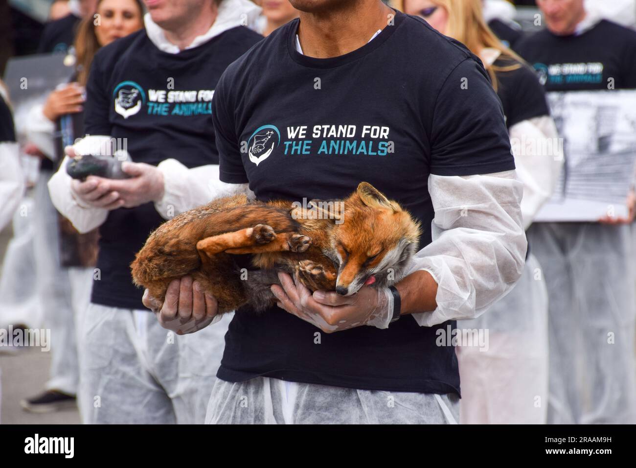 London, UK. 2nd July 2023. Animal rights activists from the group We ...