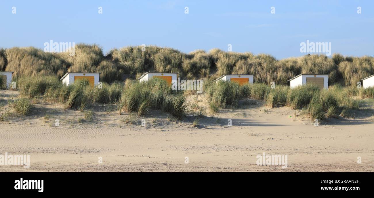 small colorful beach huts at the north sea in the netherlands Stock ...