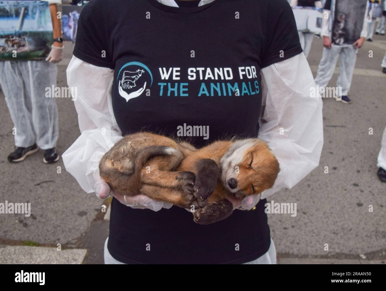 London, UK. 2nd July 2023. Animal rights activists from the group We ...