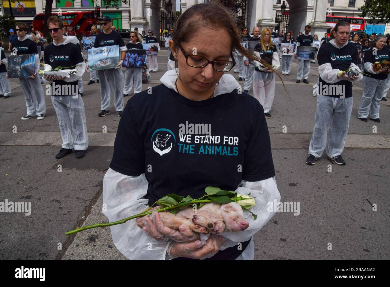 London, UK. 2nd July 2023. Animal rights activists from the group We ...