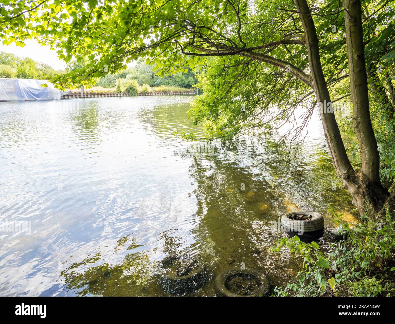 River thames pollution hi-res stock photography and images - Alamy