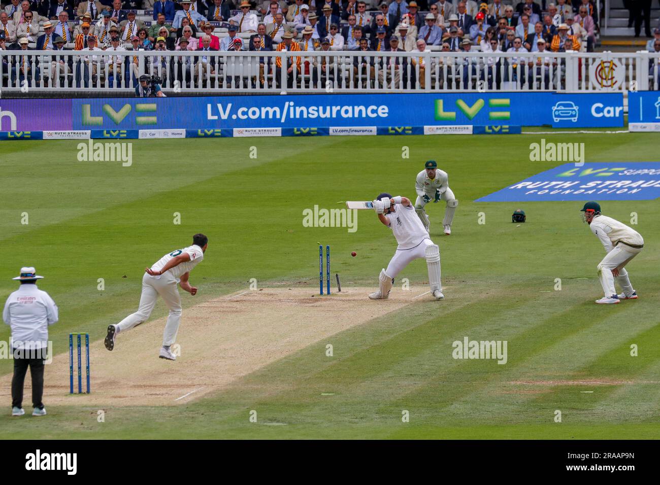 Mitchell starc hi-res stock photography and images - Alamy