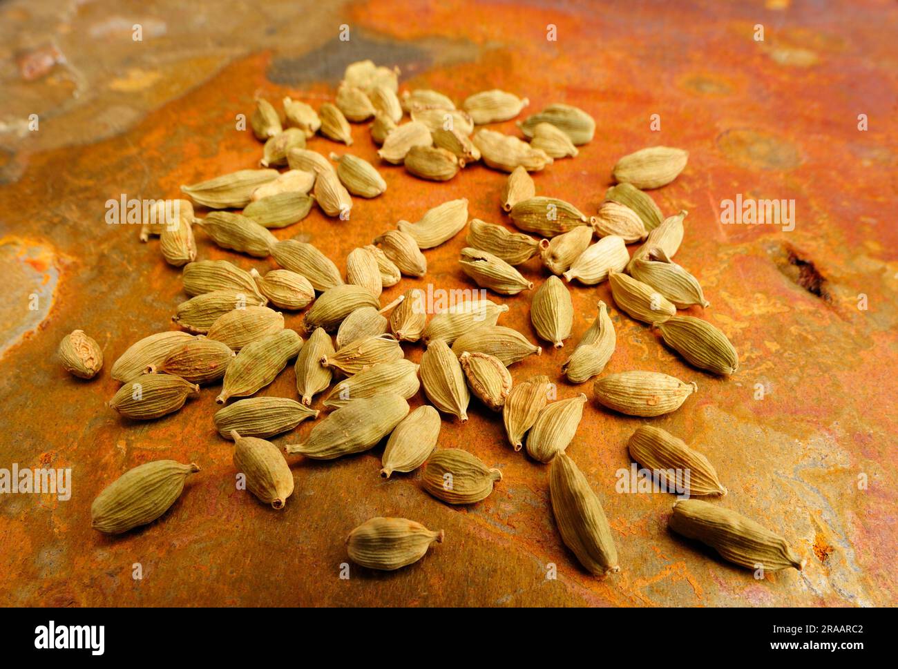 Cardamom pods, Cardamon Stock Photo - Alamy