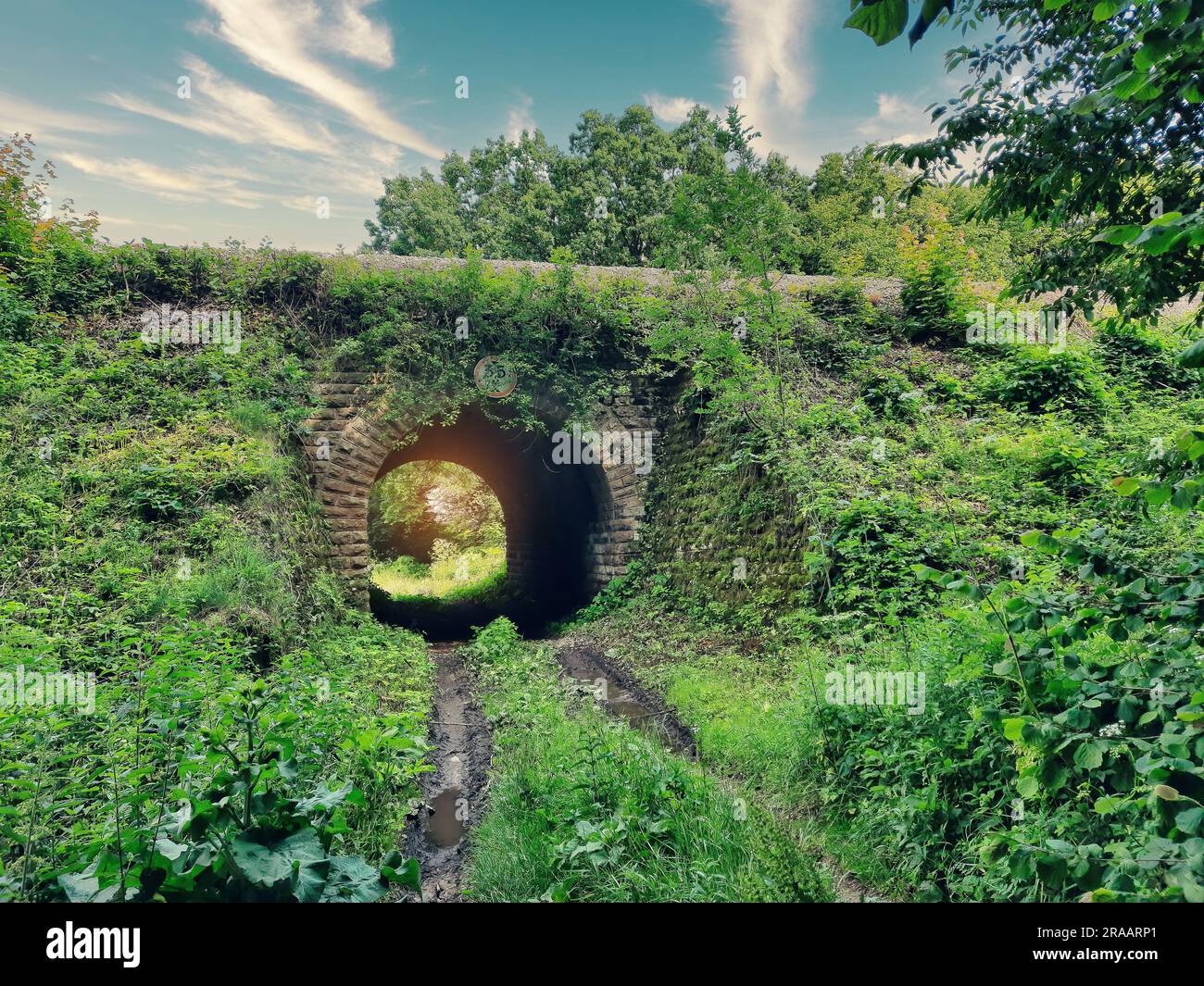 Old railway tunnel under railway, overgrown with grass and moss Stock ...