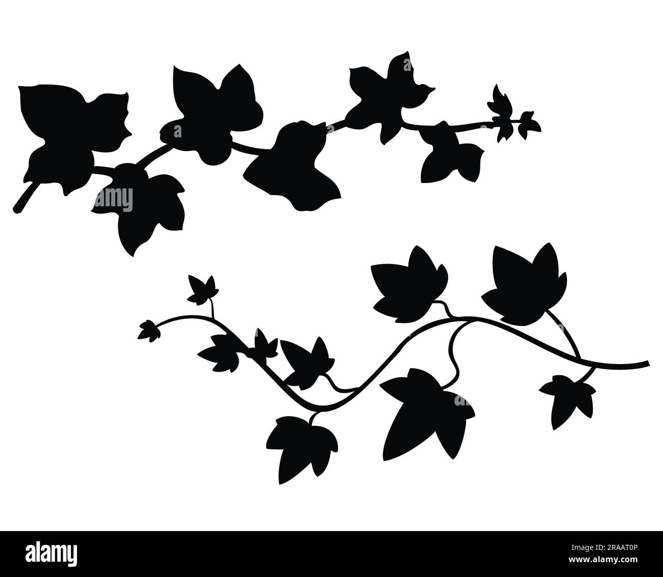 Vine branch spring Black and White Stock Photos & Images - Alamy