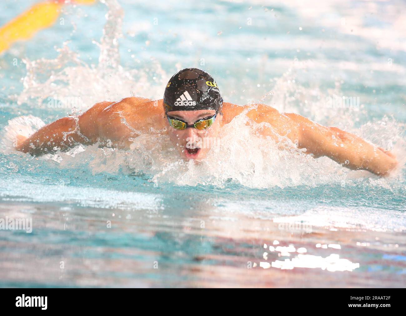 Maxime Grousset Men Heat 100 M Butterfly during the French Elite ...