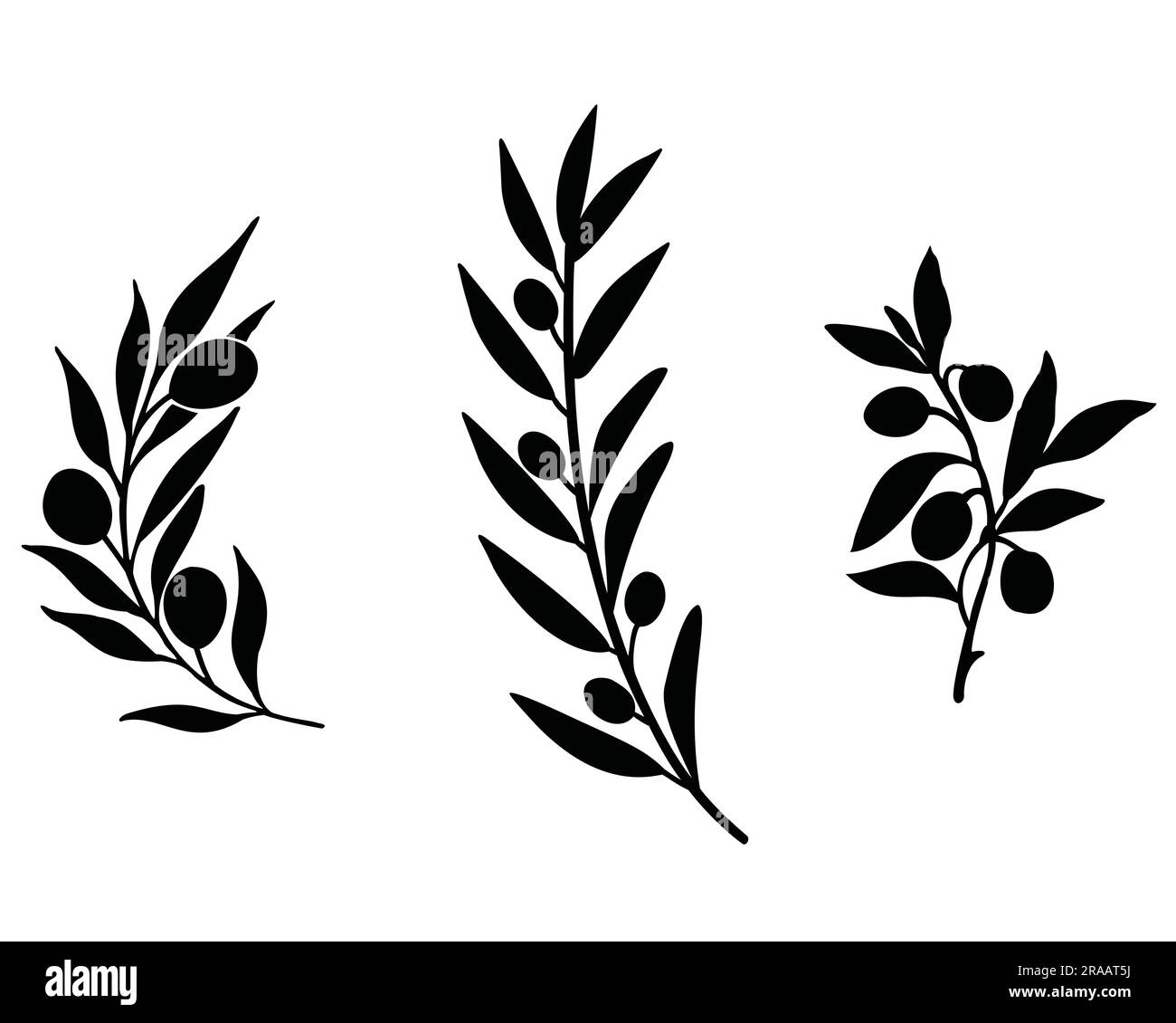 Silhouette olive tree green hi-res stock photography and images - Alamy