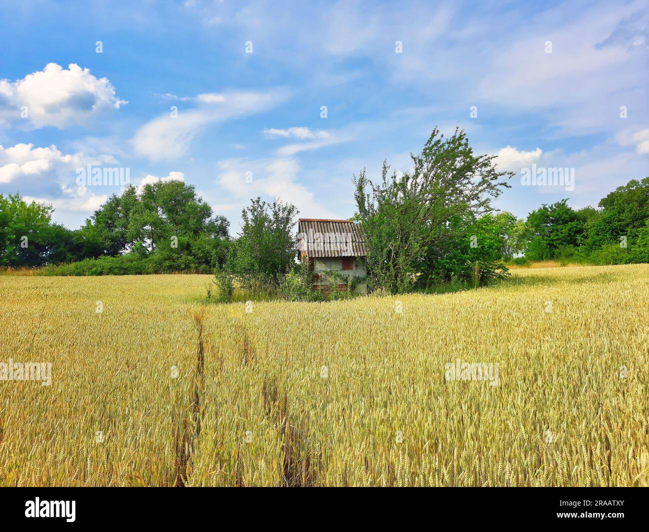 Primitive barns hi-res stock photography and images - Alamy