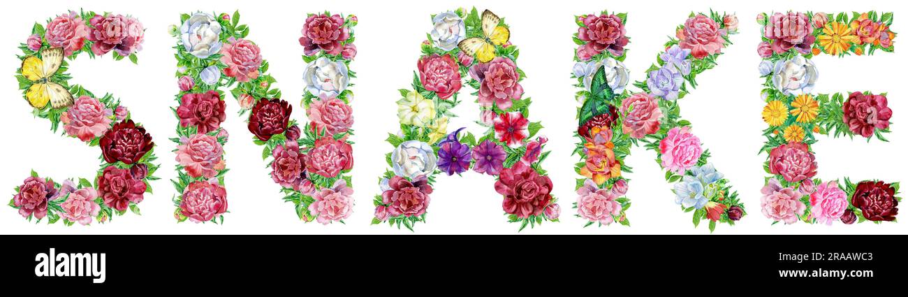 Word SNAKE of watercolor peony flowers and butterflies Stock Photo - Alamy