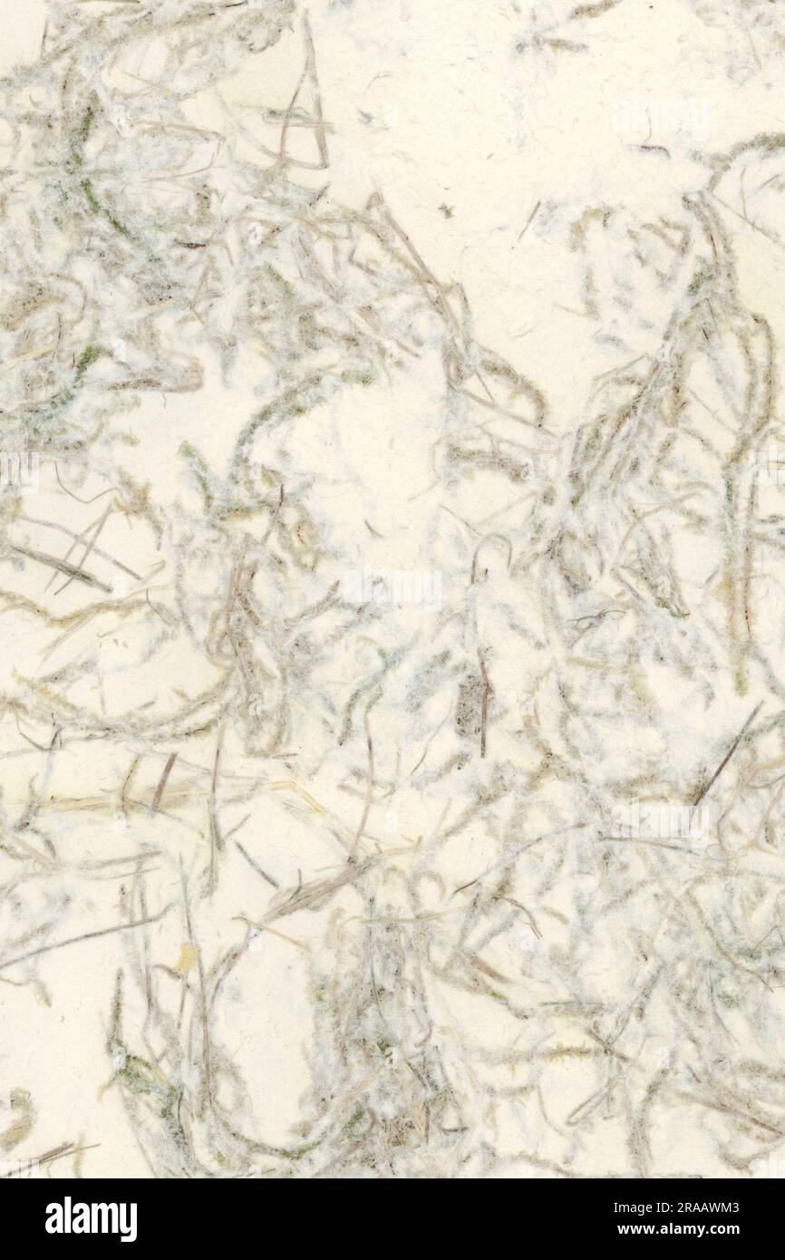 Paper grass texture hi-res stock photography and images - Alamy