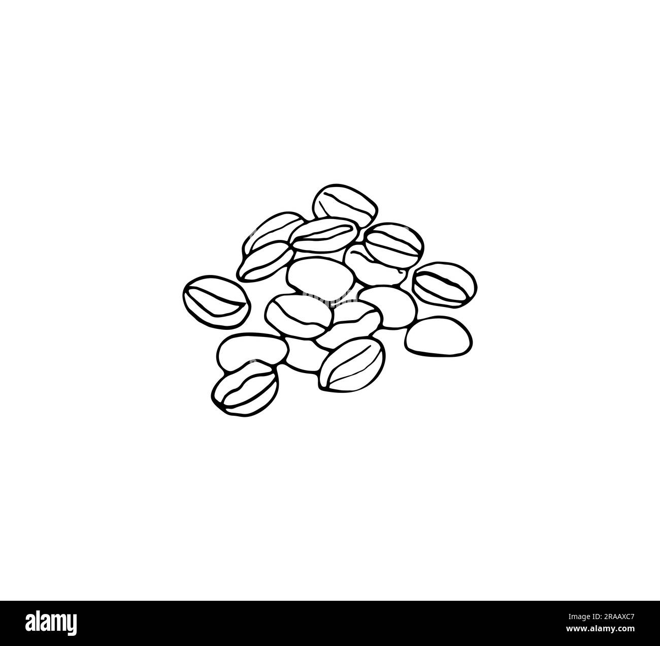 Coffee arabica drawing hi-res stock photography and images - Alamy