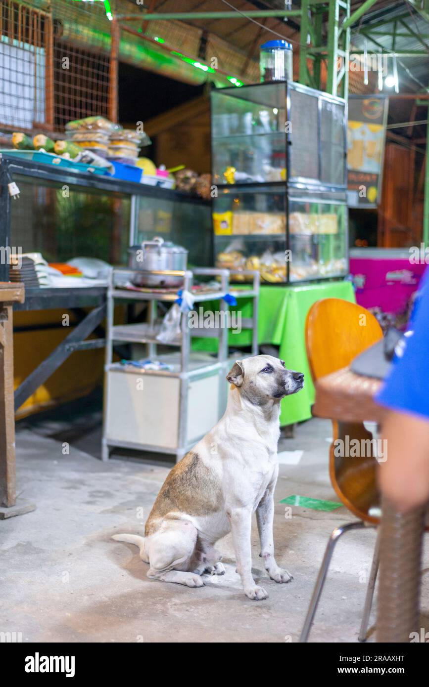 Titbits hi-res stock photography and images - Alamy