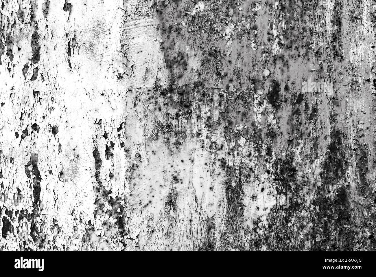 Texture of rusty metal. Metal background with corrosion and scratches ...