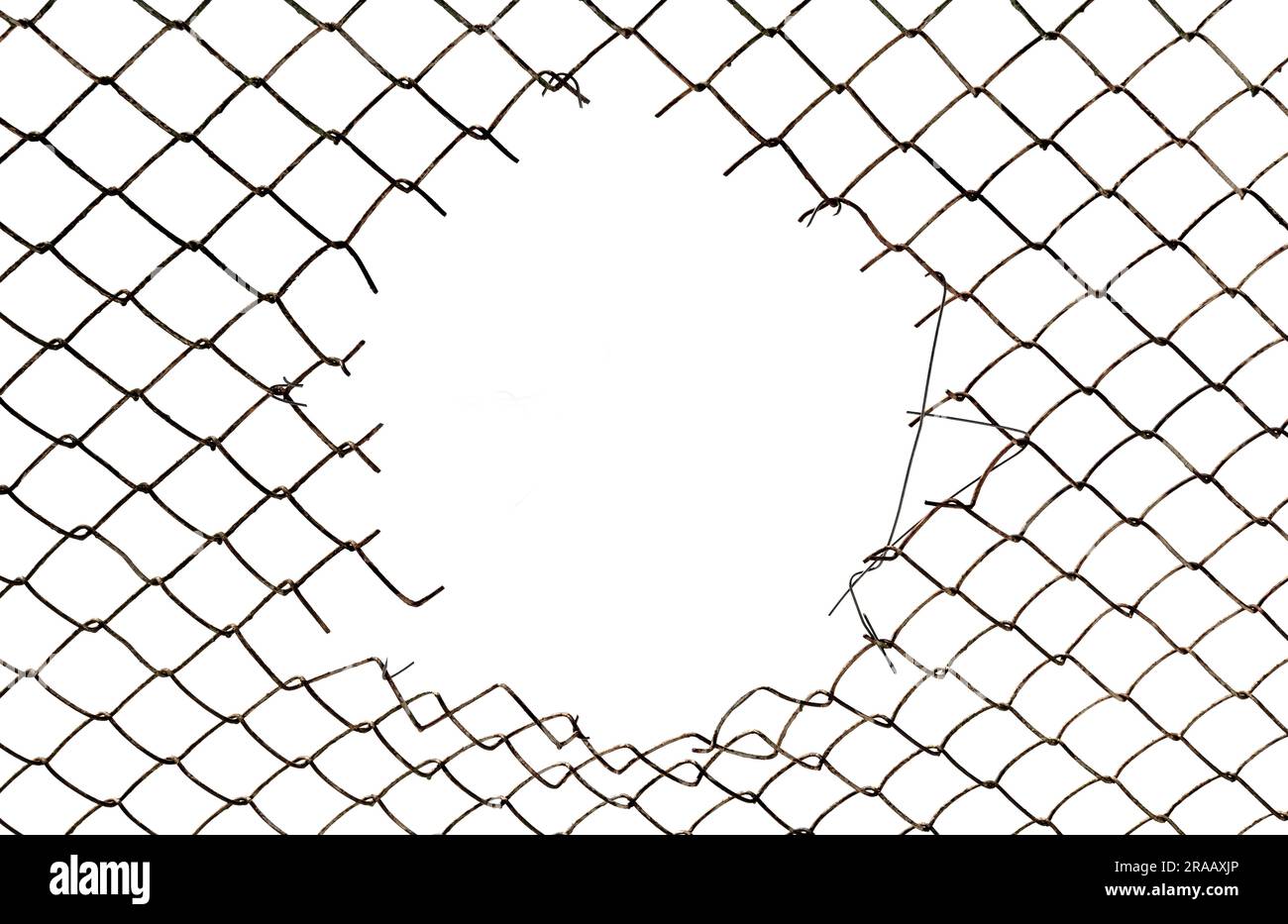 The texture of the metal mesh on a white background. Torn steel, metal ...