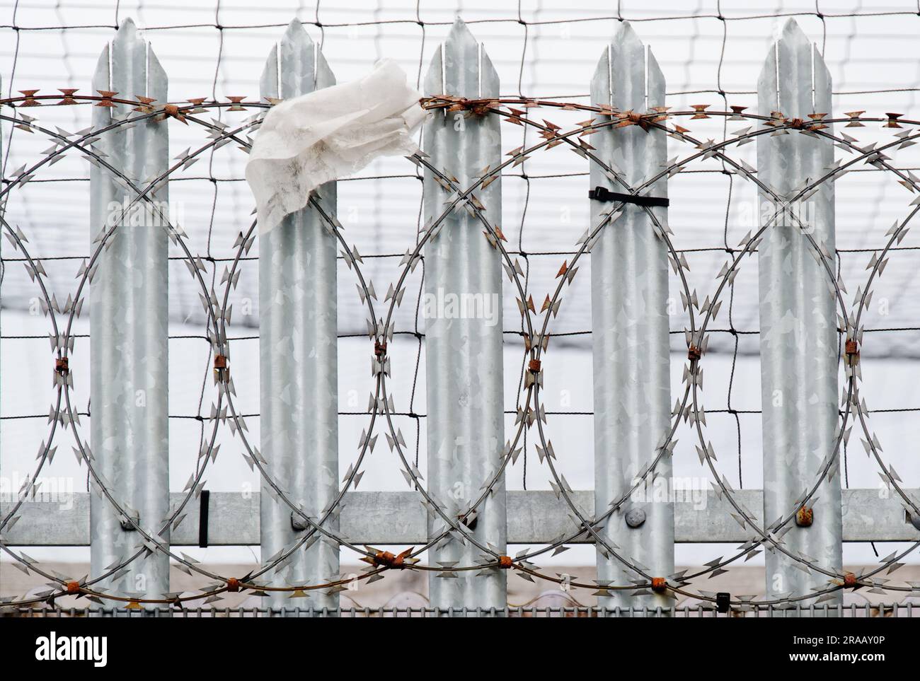 Razor wire warning sign on security fence at construction site Stock ...